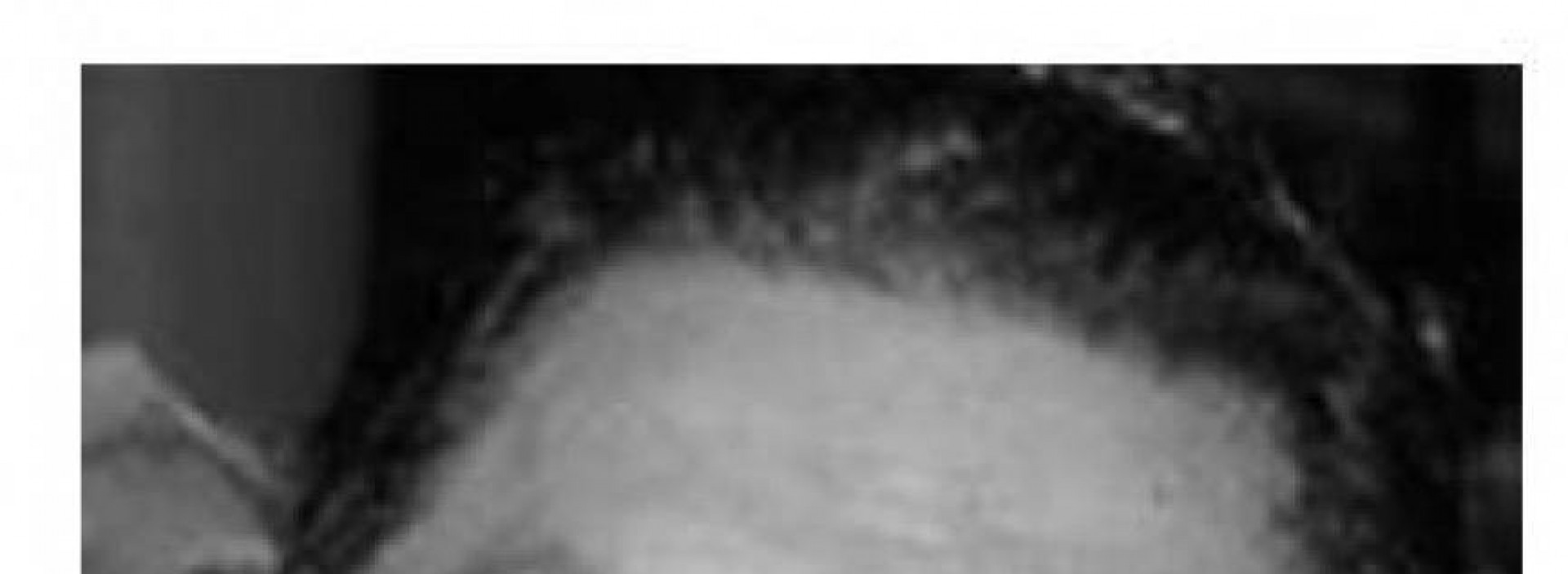 Pedro Jorge Ramos Vianna: Um preito à Nossa Senhora, mãe de Jesus