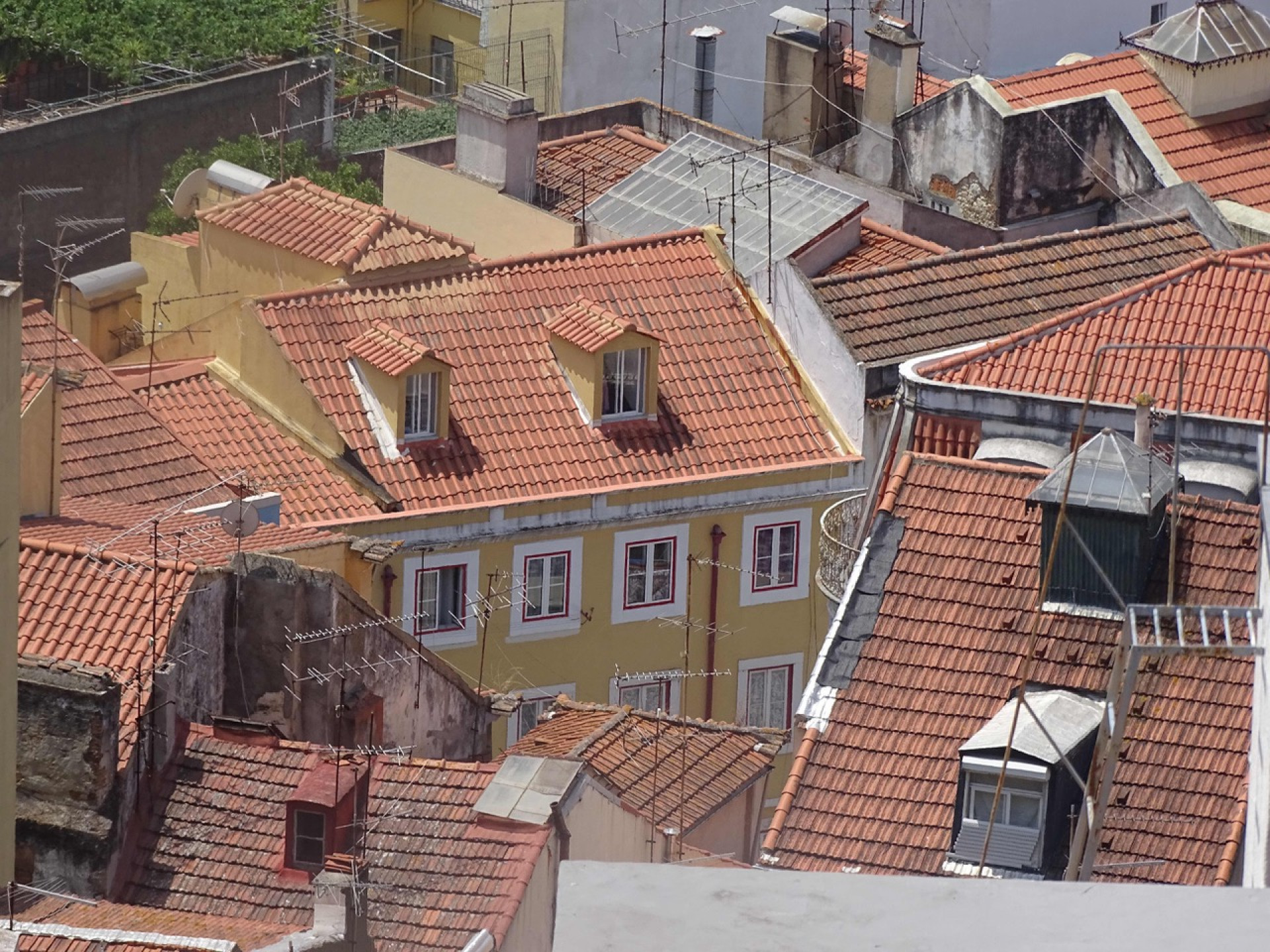 Guia para perder-se e encontrar (se em) Lisboa. | Ariadne Araújo | OPOVO+