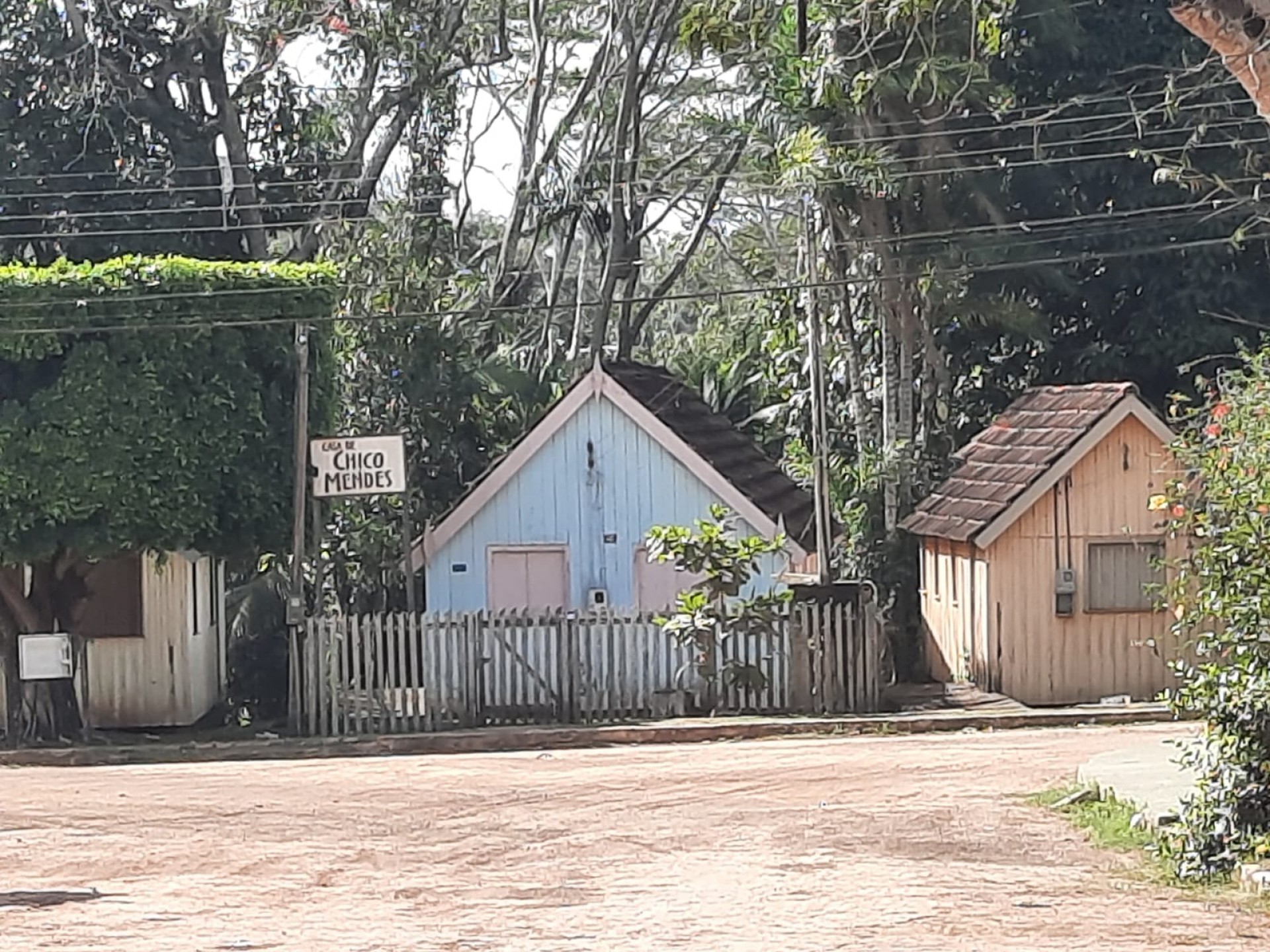 Por que conhecer uma floresta muda nossa visão da vida | Regina Ribeiro ...