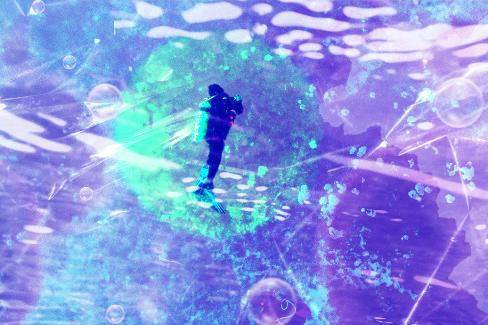 A matiz azul do Ceará: nossa rica vida submersa | A Década do Oceano ...