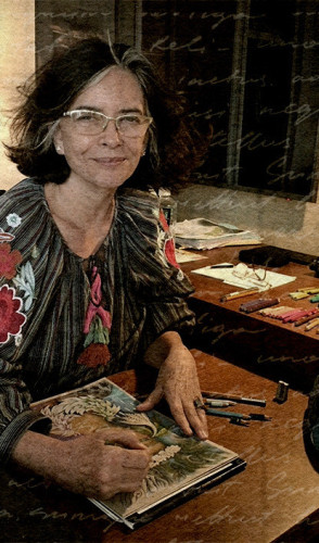 Reportagens Especiais | O POVO+